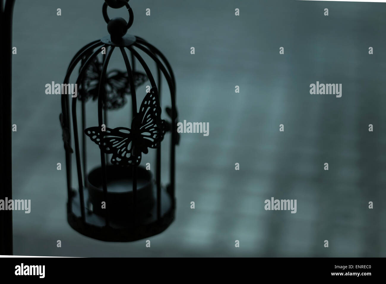 Black cage with butterfly Stock Photo - Alamy