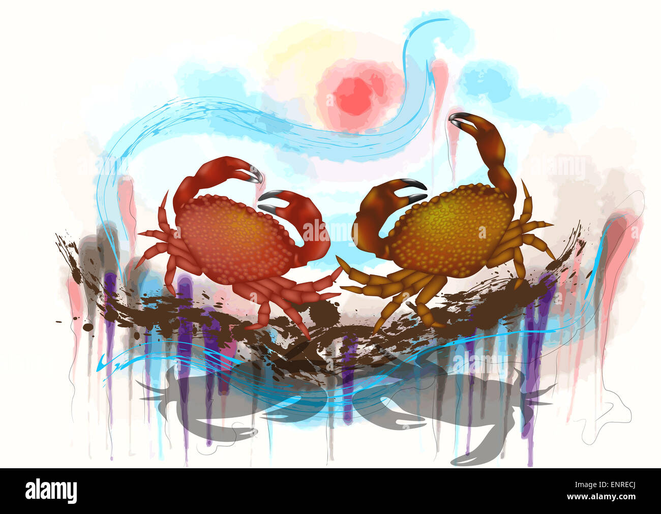 Dancing crabs hi-res stock photography and images - Alamy