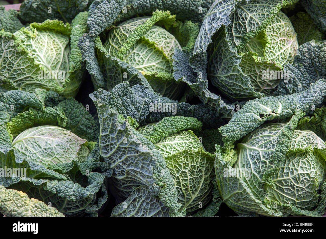 Farmers head hi-res stock photography and images - Alamy
