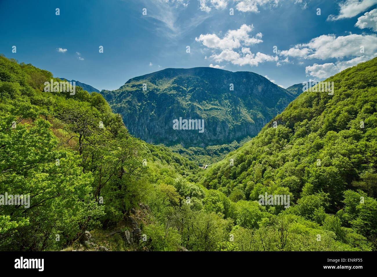 Beautiful landscape with afforested mountain on springtime Stock Photo ...