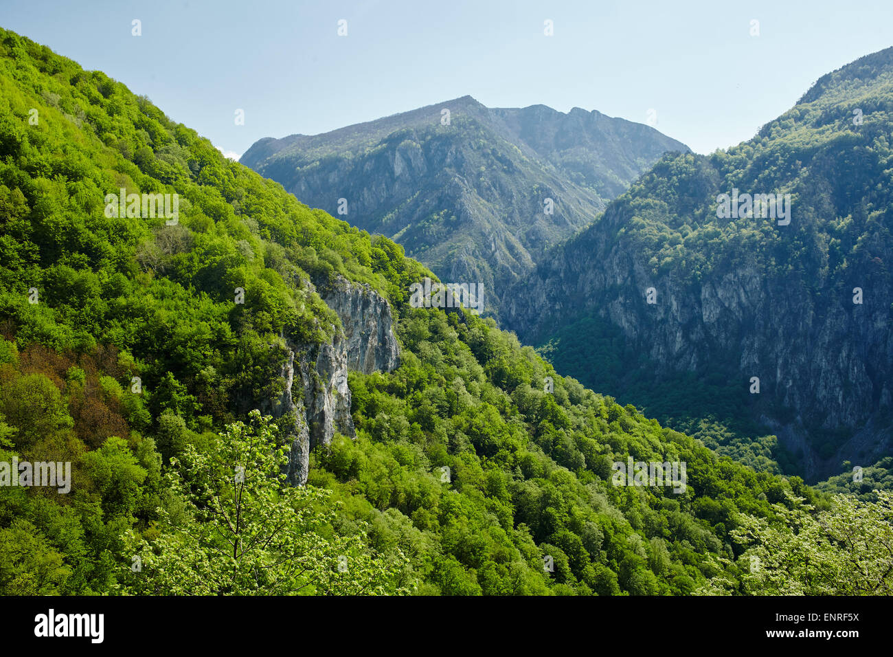 Beautiful view of a high afforested mountains Stock Photo - Alamy