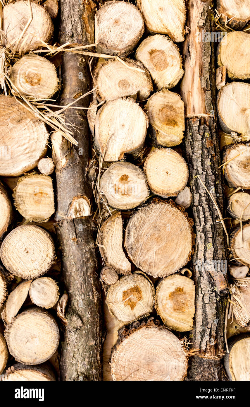 Closeup texture of stacked logs and freshly cut wood Stock Photo - Alamy