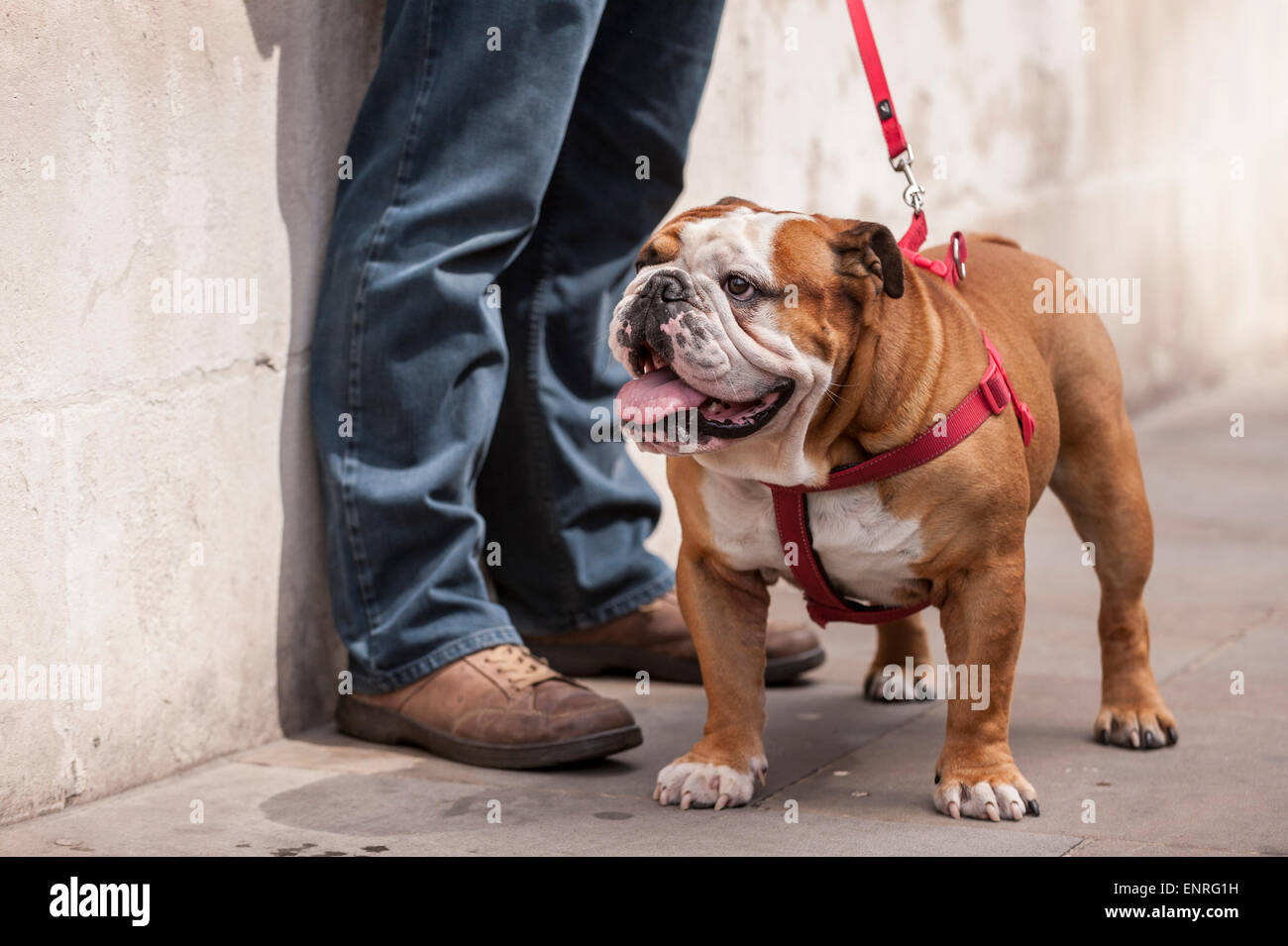 Wartime anniversary hi-res stock photography and images - Alamy