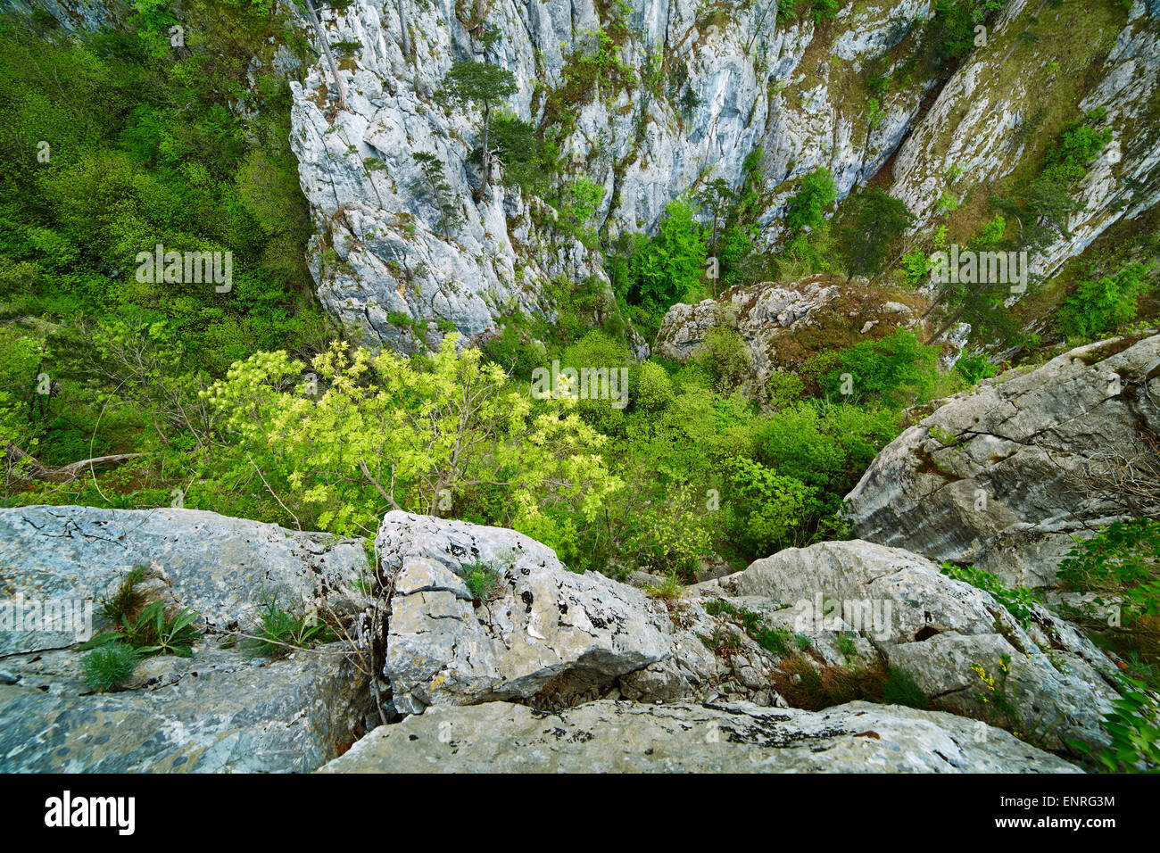 Deep ravine hi-res stock photography and images - Alamy