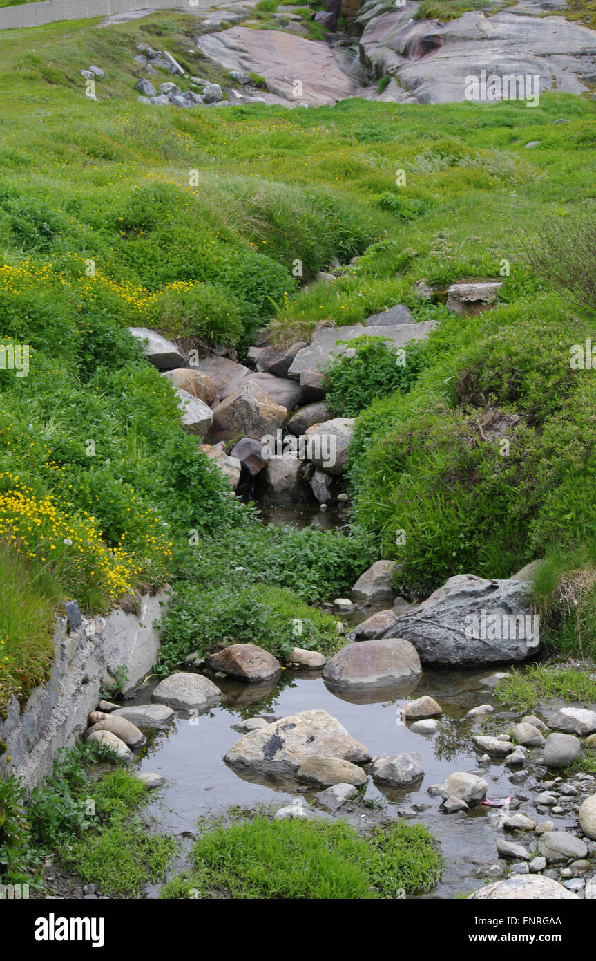 Spring flows through boulders and grassland hi-res stock photography ...