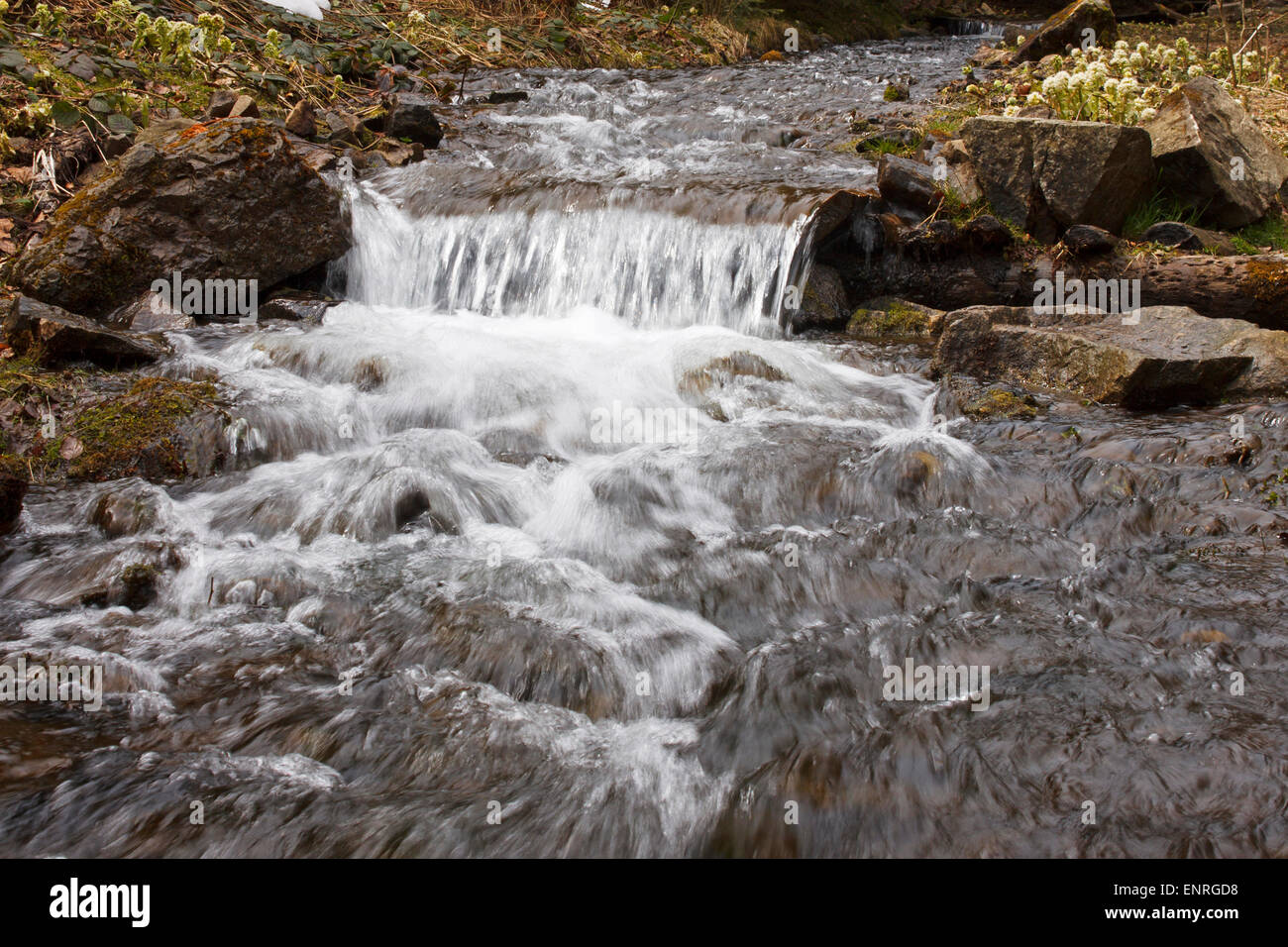 Brook in spring hi-res stock photography and images - Alamy