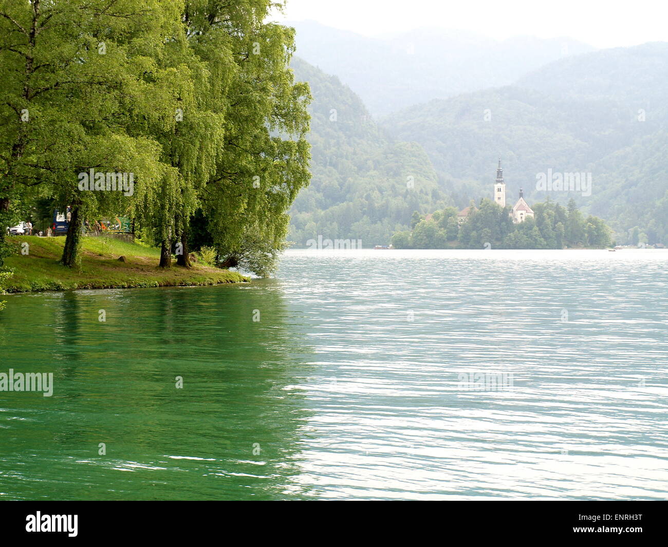 Green trees at lakeside Stock Photo - Alamy