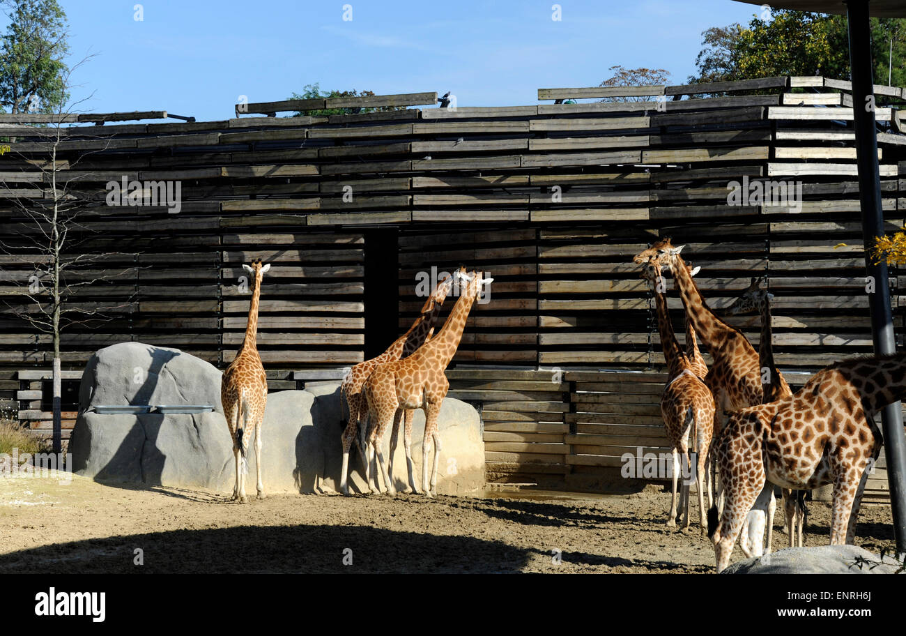 Giafe hi-res stock photography and images - Alamy