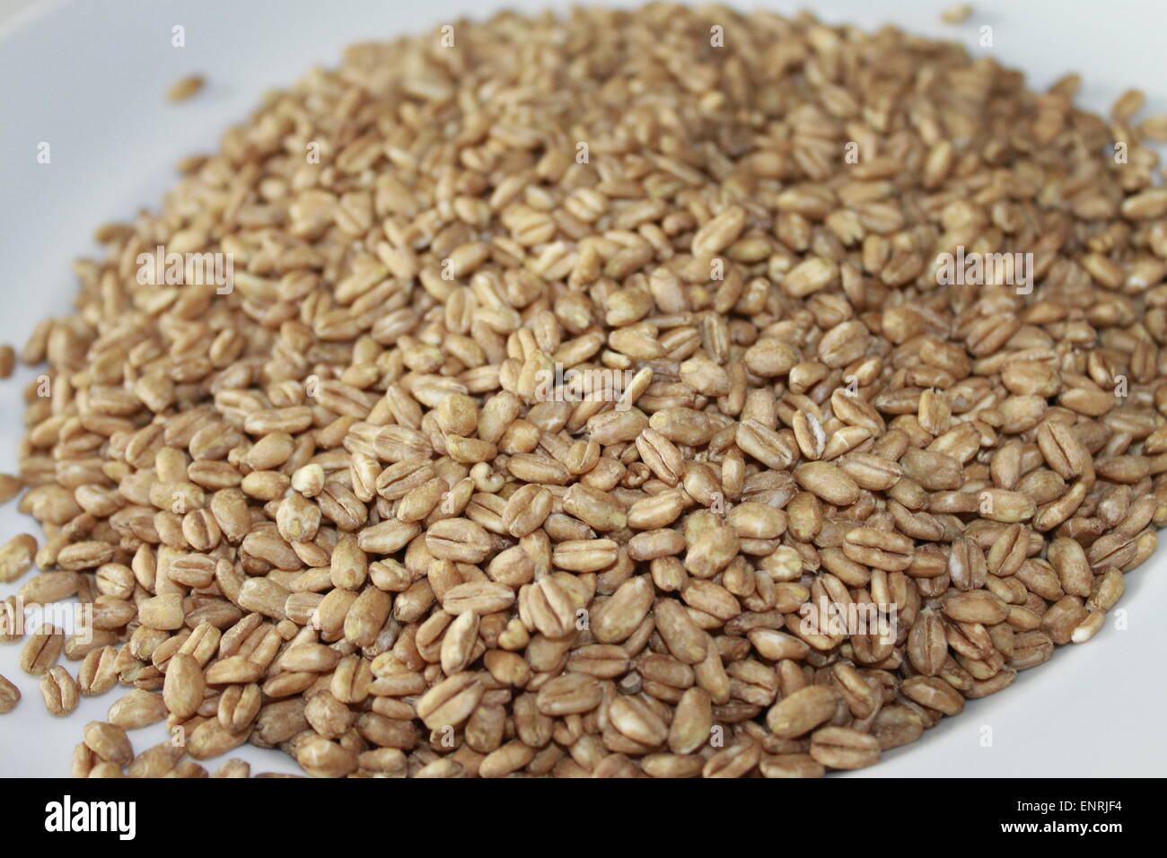 grain of farro raw Stock Photo - Alamy