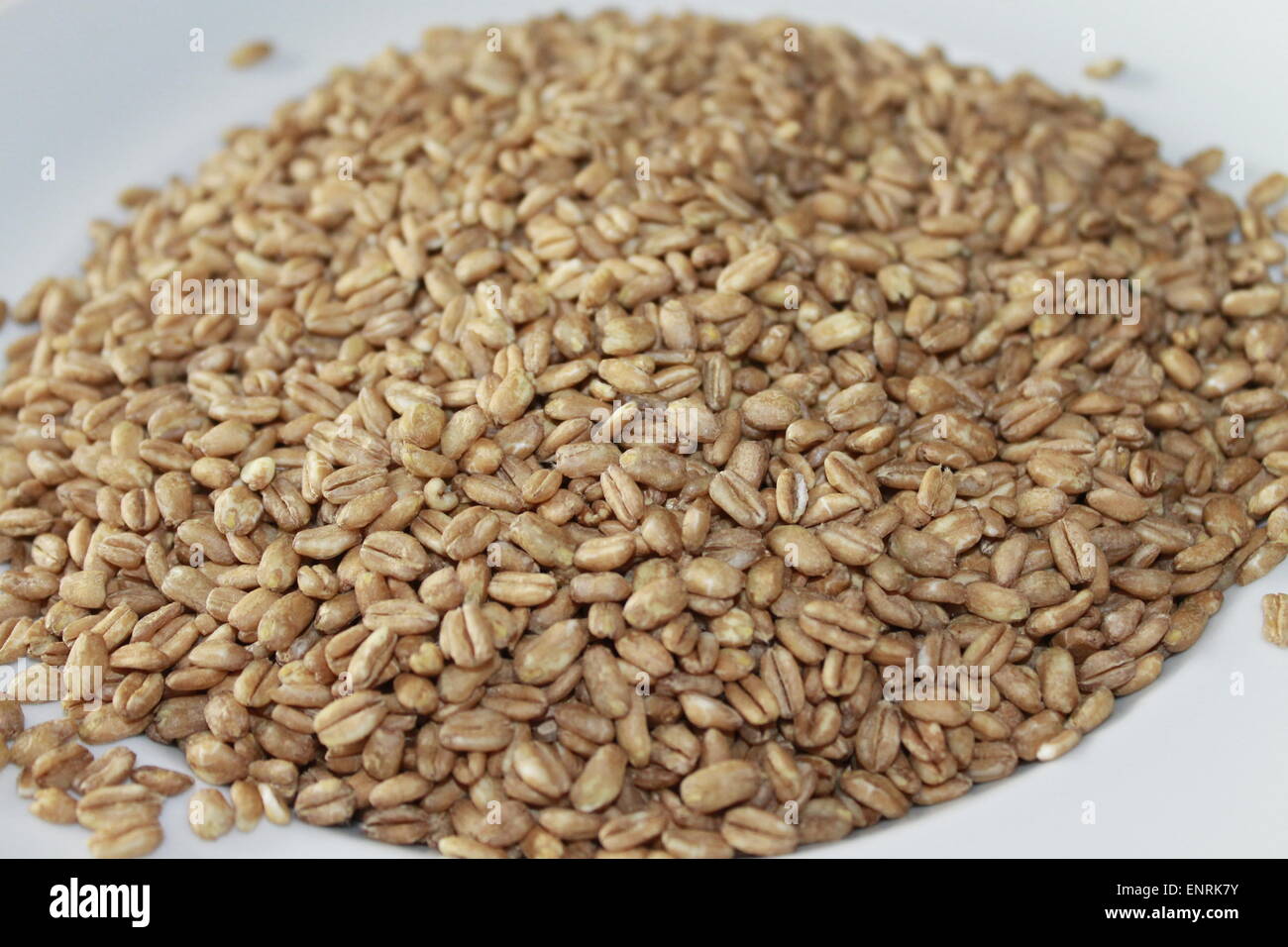 grain of farro raw Stock Photo - Alamy