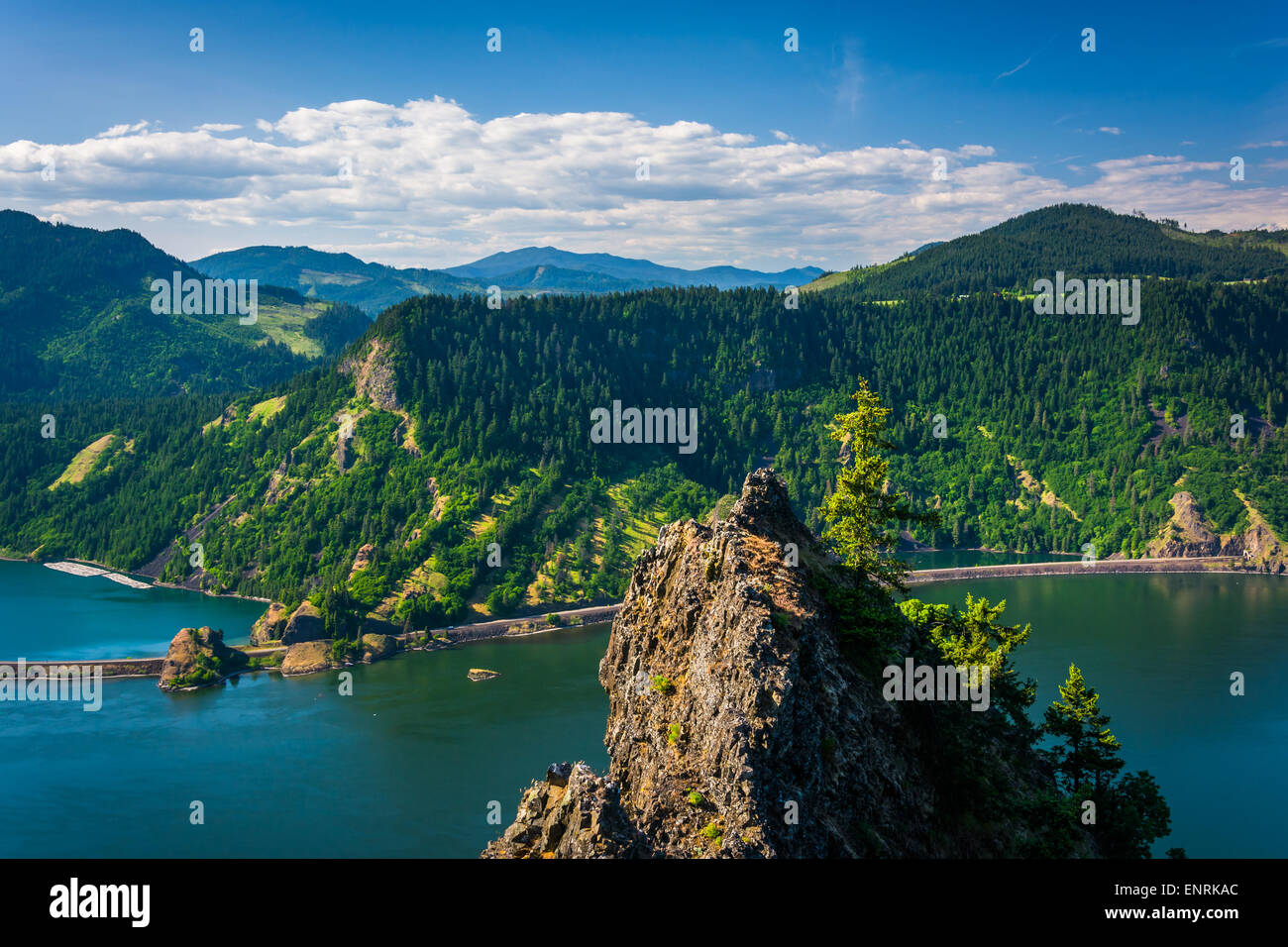 View of the Columbia River from Mitchell Point, Columbia River Gorge ...