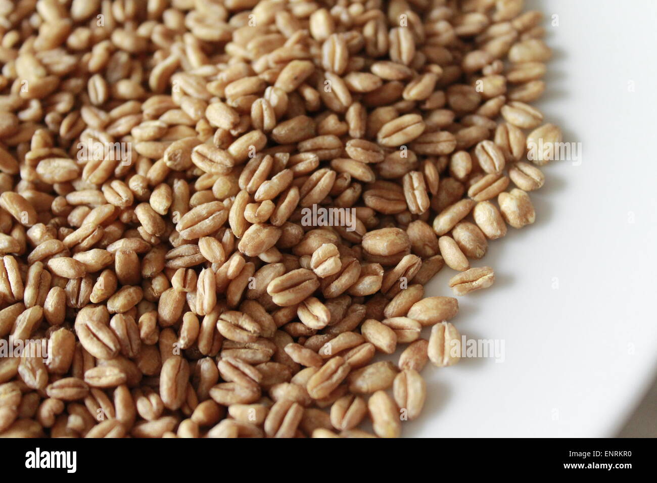 grain of farro raw Stock Photo - Alamy