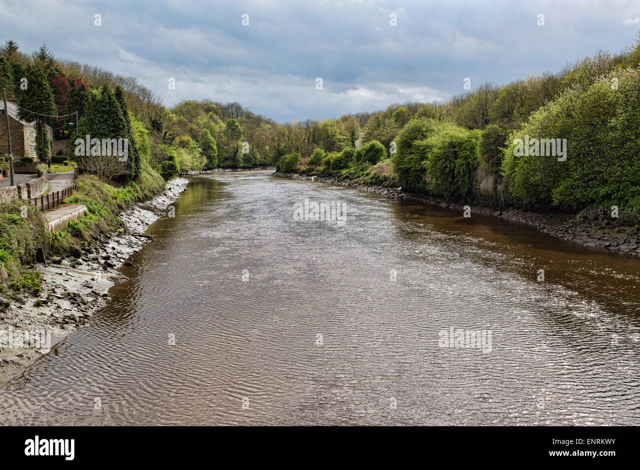 Stanhope and tyne railway hi-res stock photography and images - Alamy