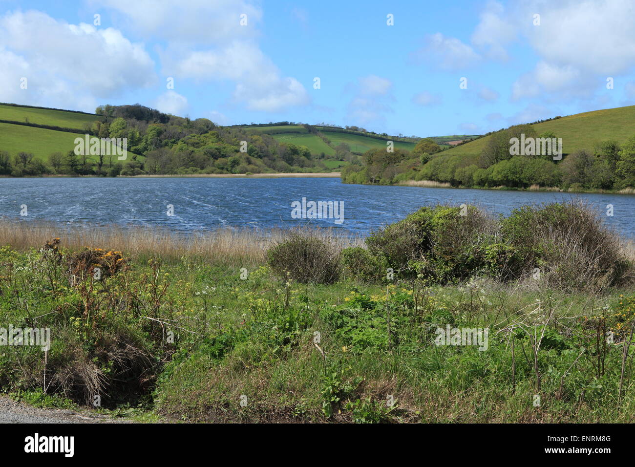 Slapton ley hi-res stock photography and images - Alamy