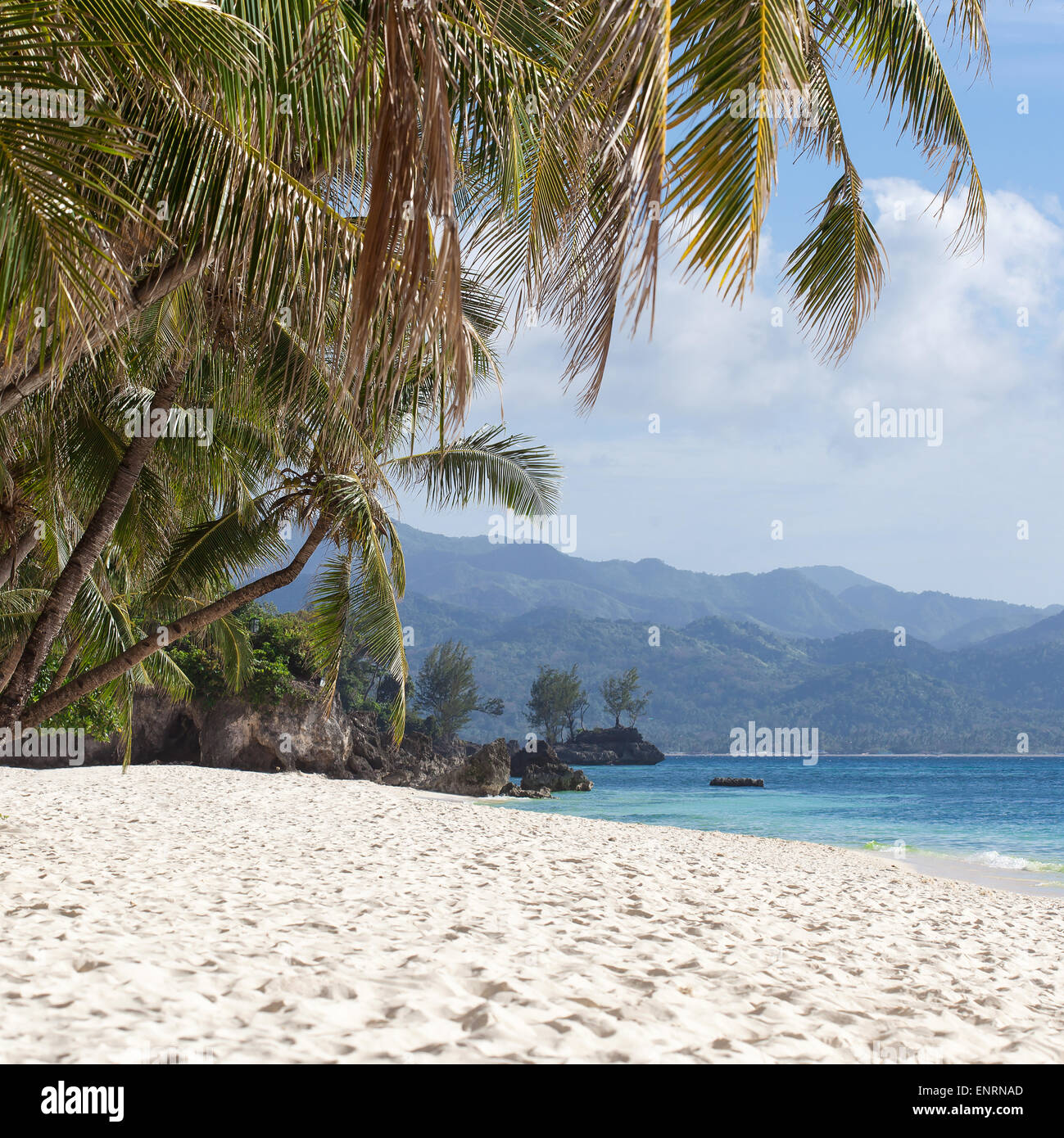 Tropical beach with beautiful palms and white sand, Philippines ...