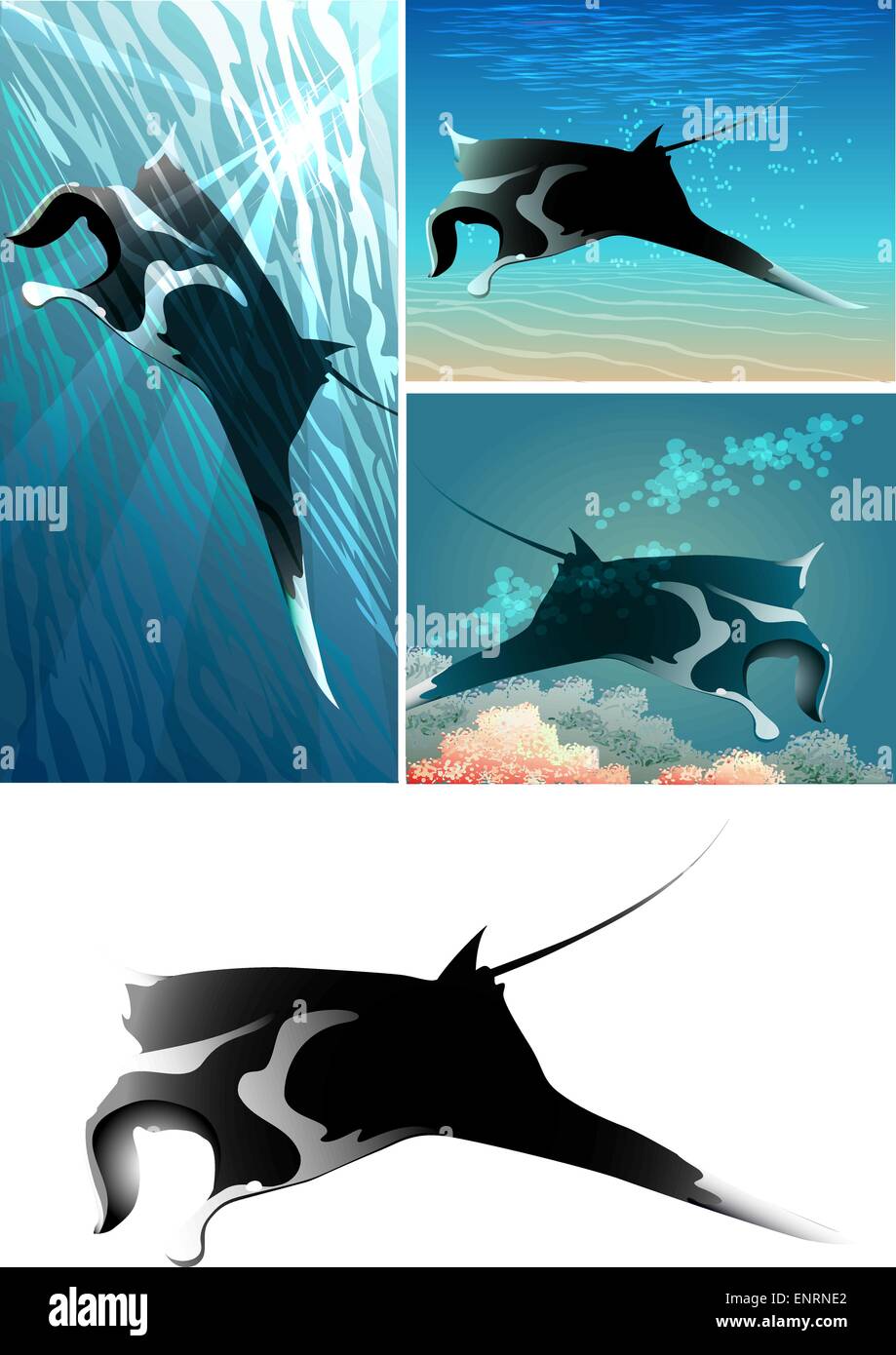 Manta ray images Stock Vector Images - Alamy