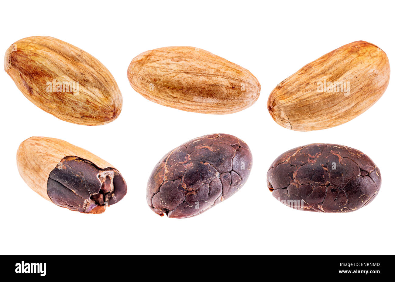 a set of raw cacao beans isolated with clipping paths Stock Photo - Alamy