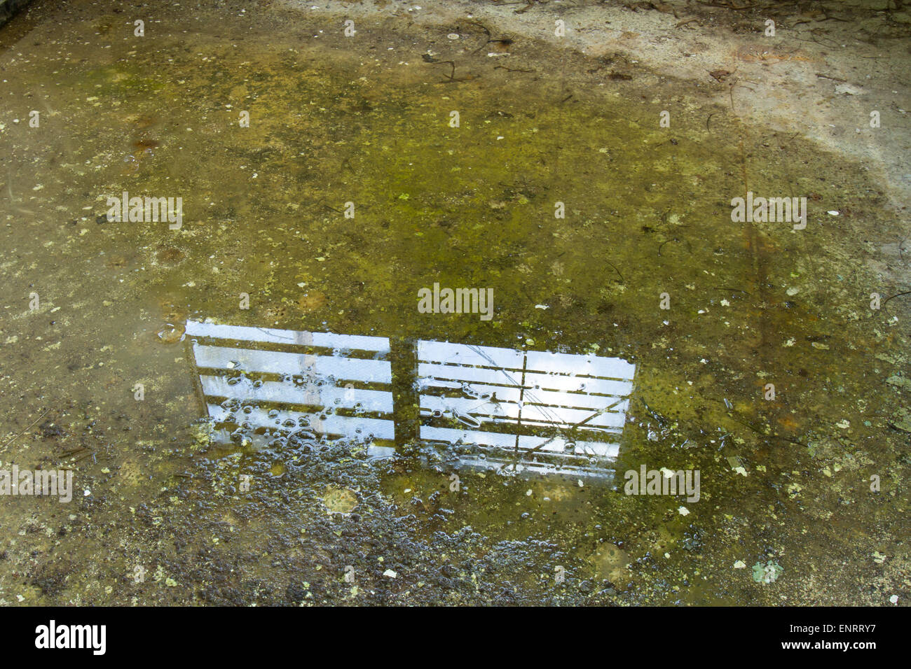 lights-from-windows-covered-in-bars-reflected-in-stagnant-puddles-in