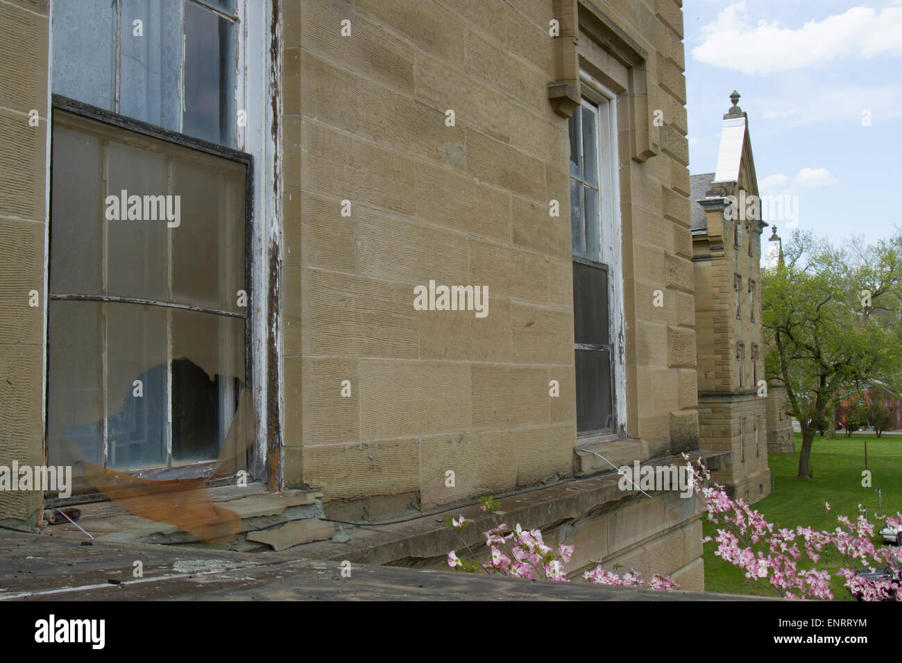 Trees growing and blooming outside window of rotting, old building ...