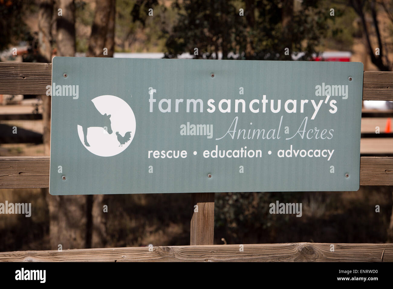 Farm Sanctuary in Acton, California. A farm animal protection ...