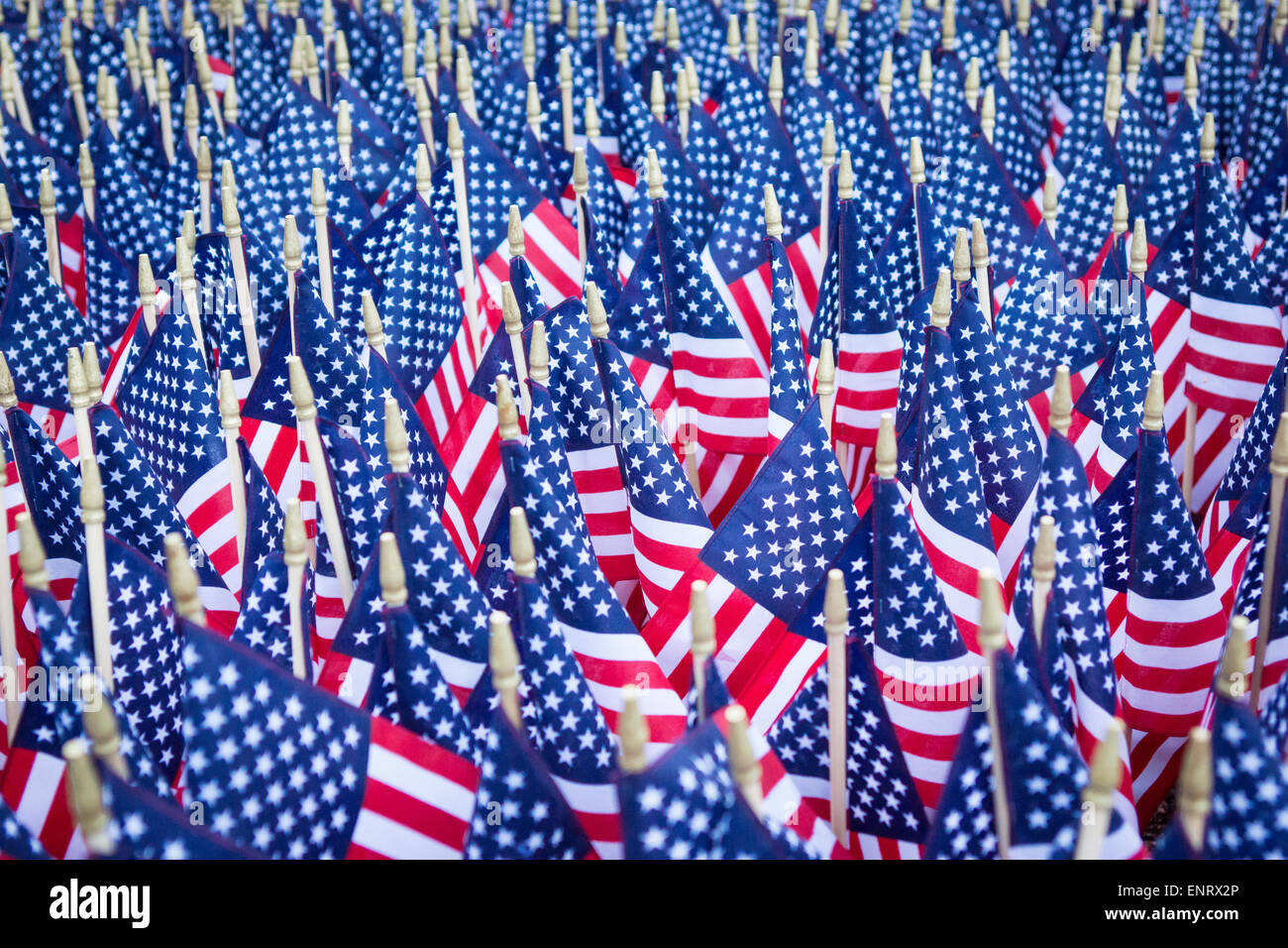 Red white and blue American flags grouped together in a massive ...