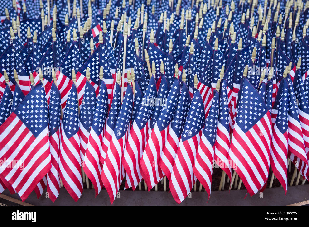 Dedicated memorial of American flags to fallen police officers Stock ...