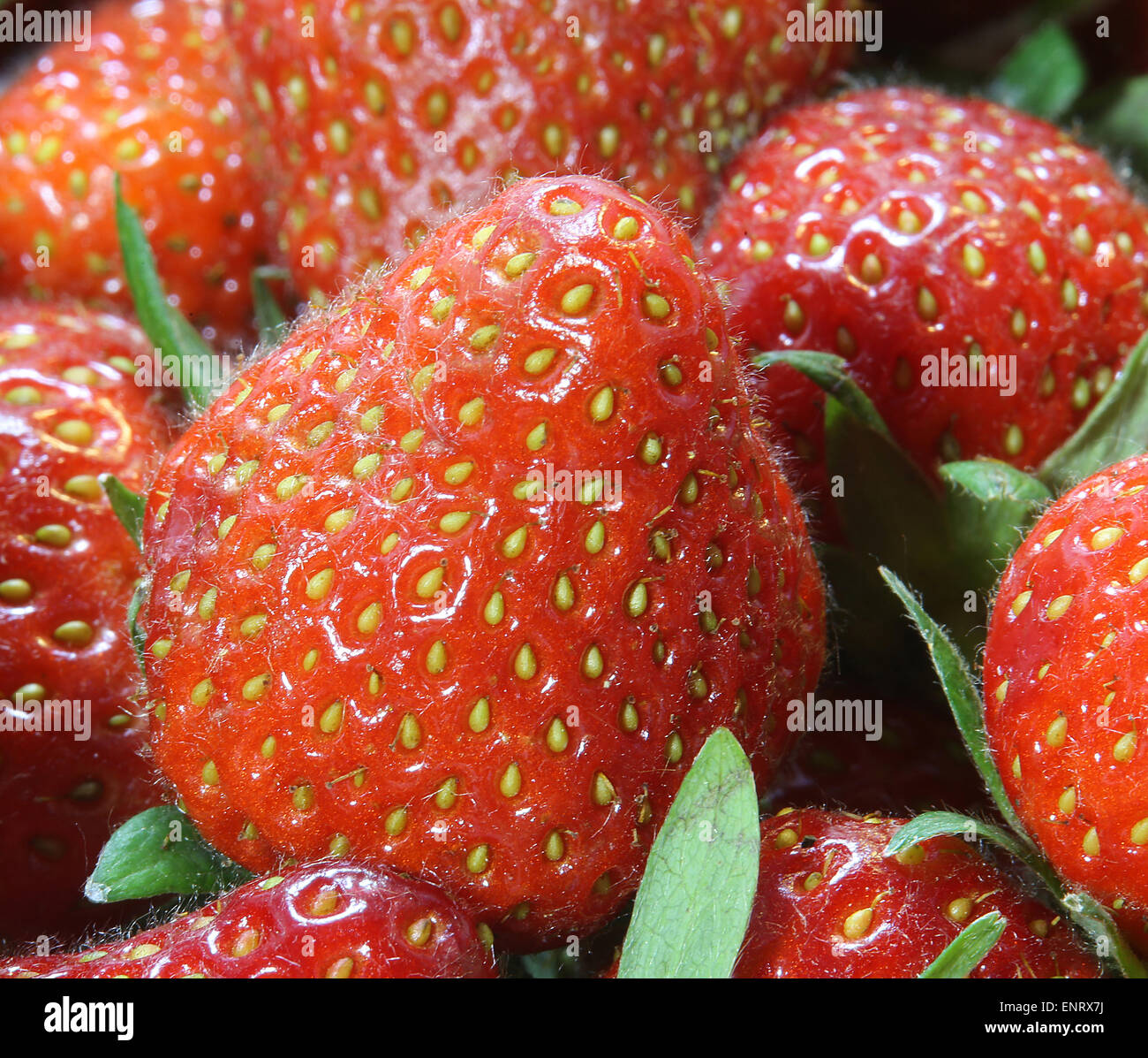 temptations: background of red ripe strawberries from greengrocers ...