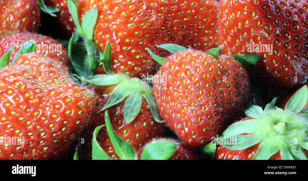 temptations: ripe Strawberry background Stock Photo - Alamy