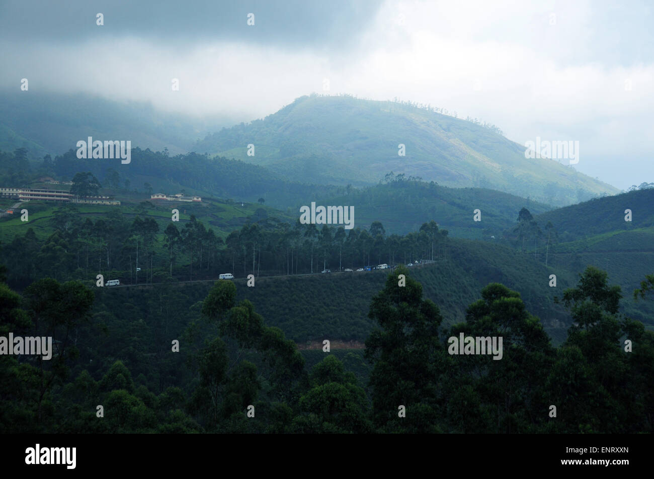 Beautiful munnar hills Stock Photo - Alamy