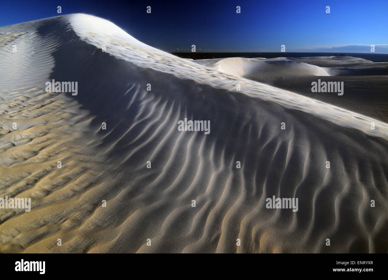 Indian white sand deserts hi-res stock photography and images - Alamy