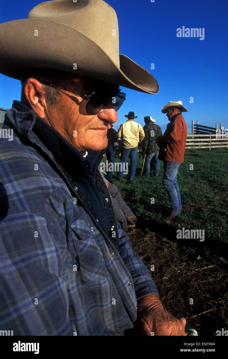 John wayne cowboy High Resolution Stock Photography and Images - Alamy
