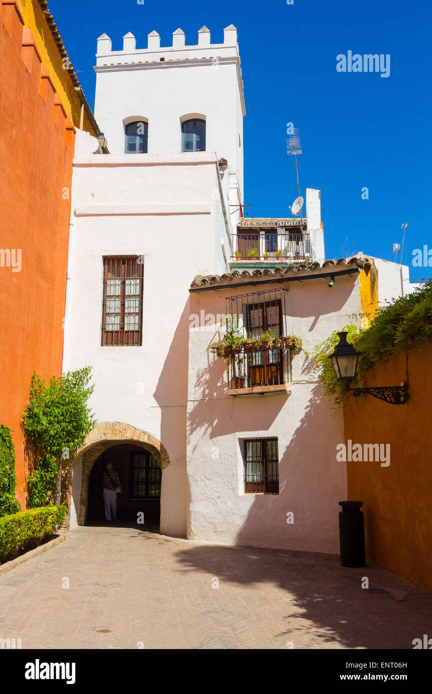 beautiful streets full of typical color of the Andalusian city of ...