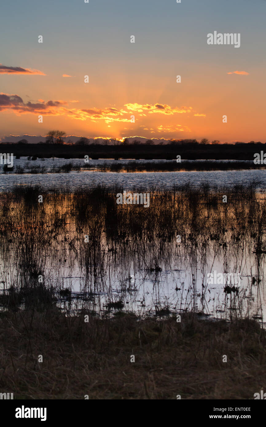 The fens hi-res stock photography and images - Alamy