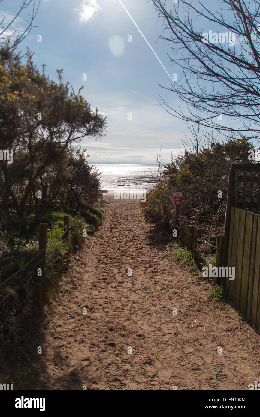 Pathway to happiness Stock Photo - Alamy