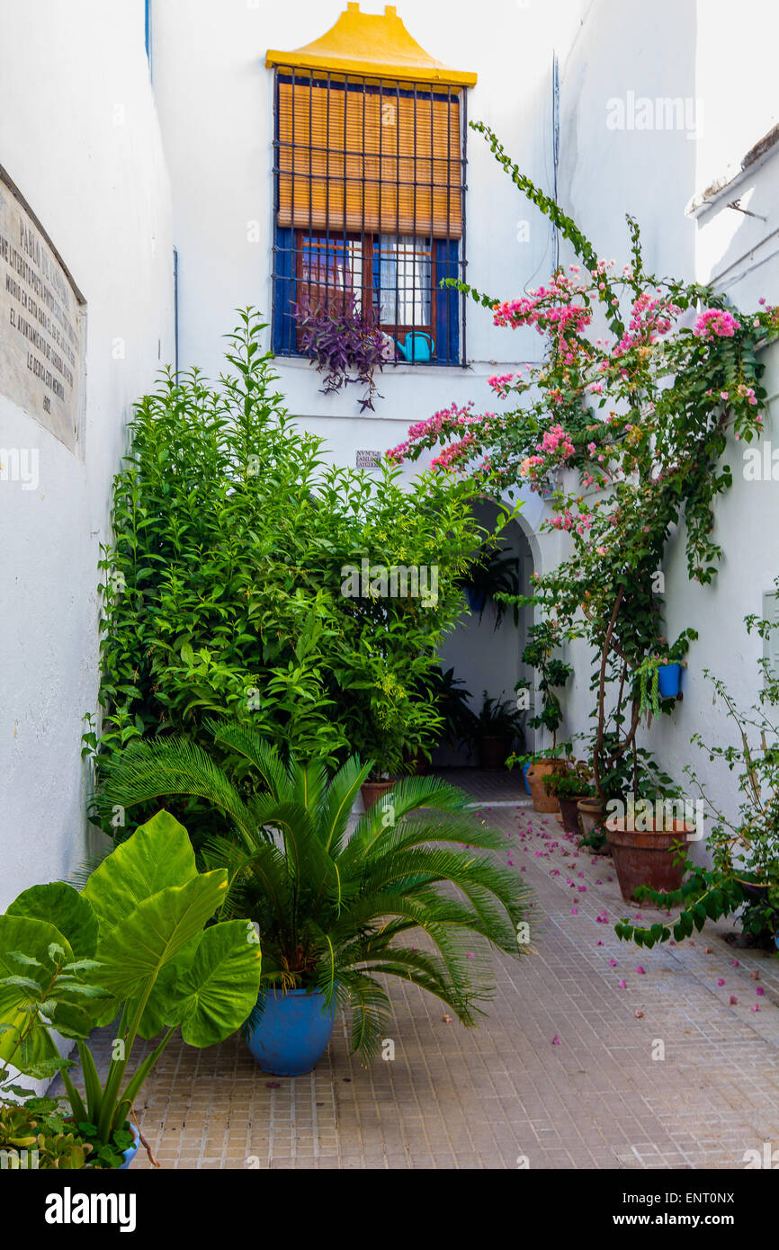typical Andalusian courtyard decorated with flowers in the city of ...