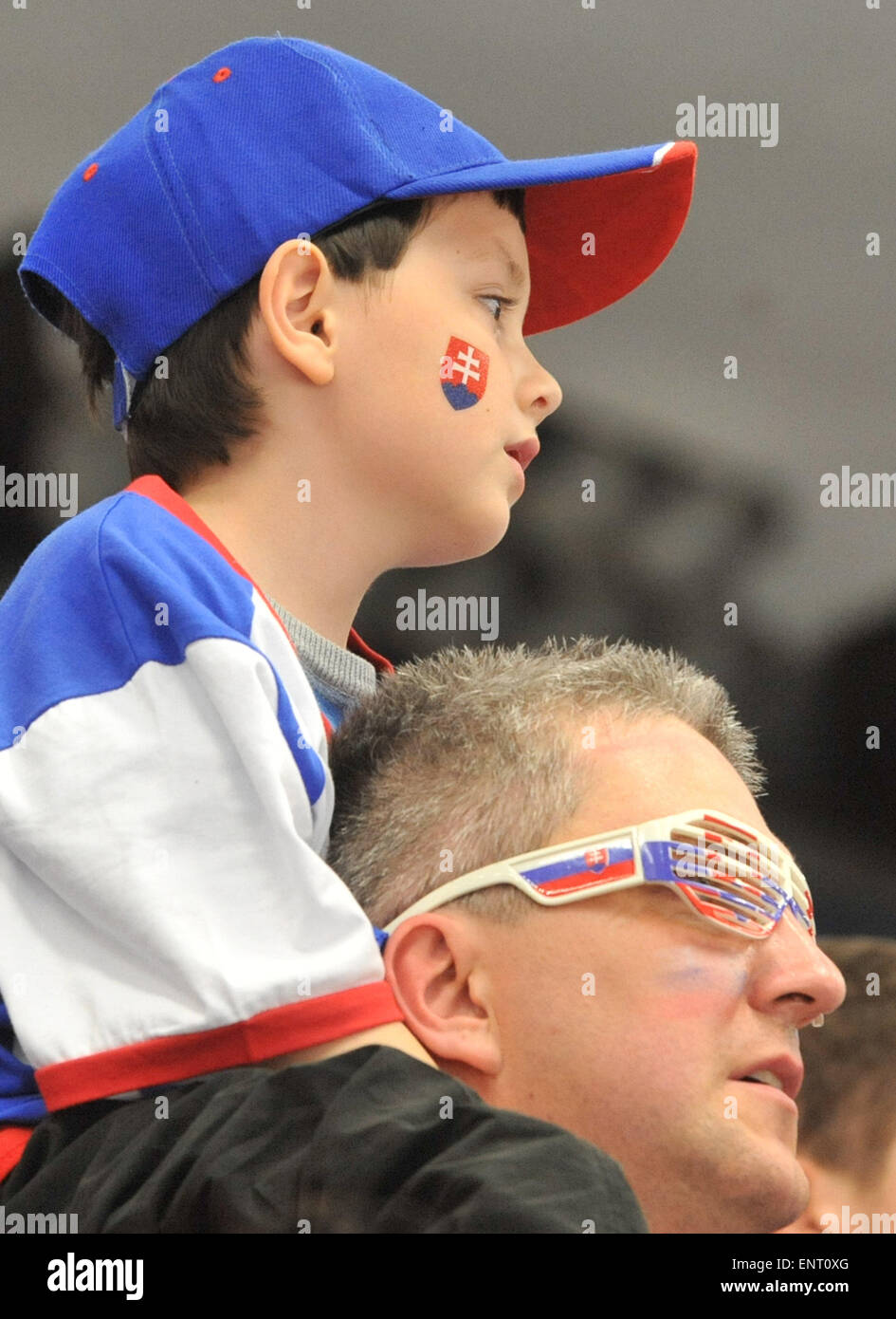 fans of Slovakia Stock Photo - Alamy