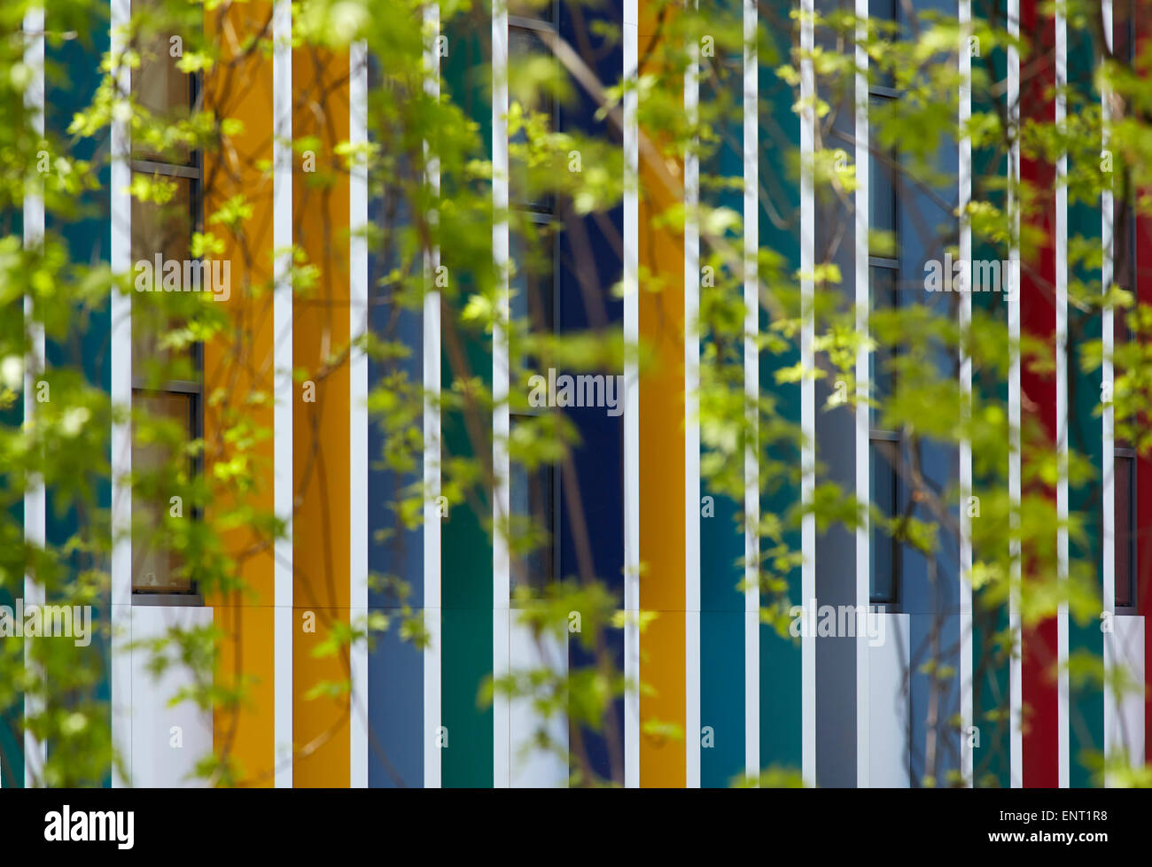 Springtime foliage with colourful facade fins. Regent High School ...