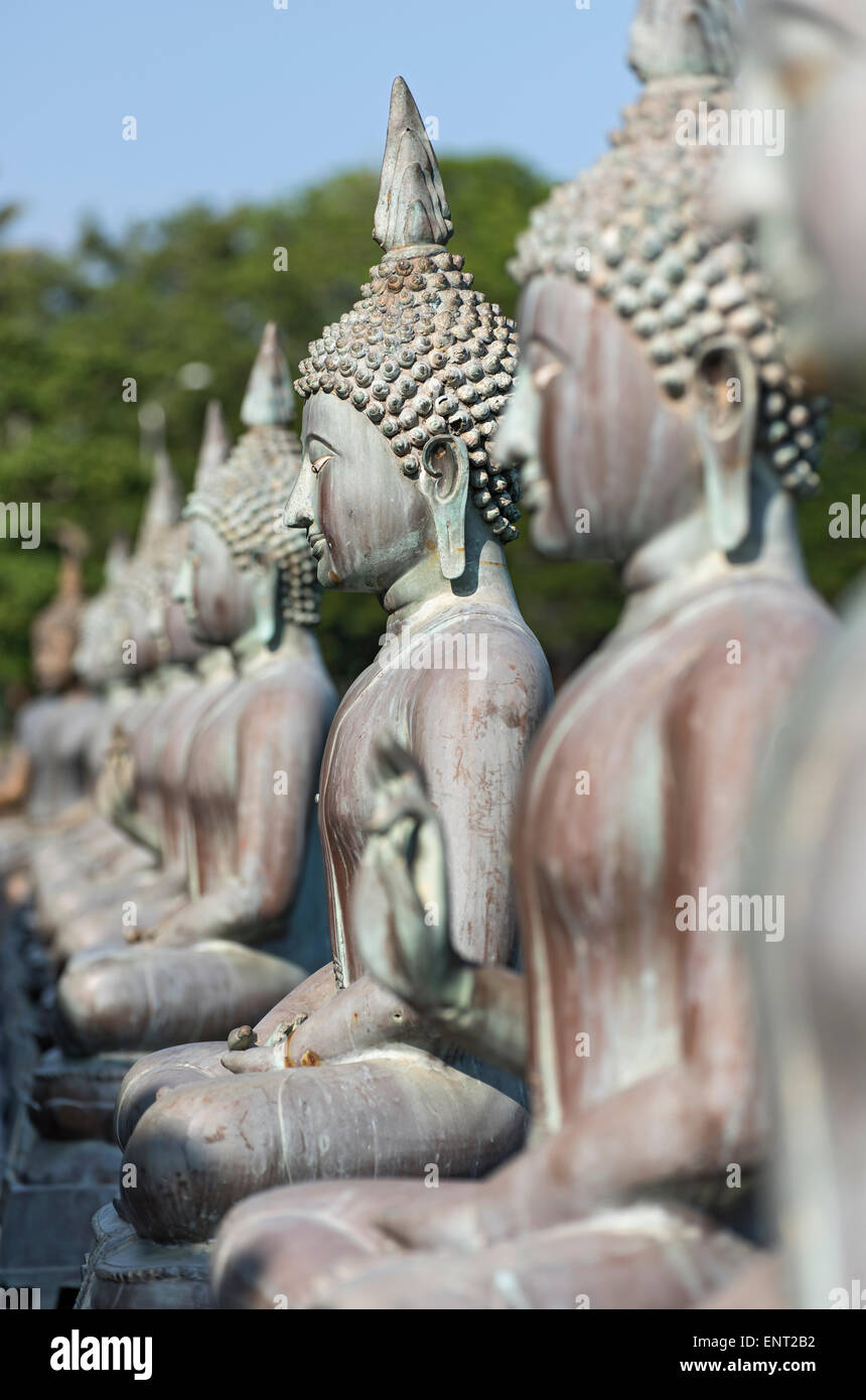 Buddha Statues at Seema Malakaya Meditation Centre, Colombo, Sri Lanka Stock Photo - Alamy