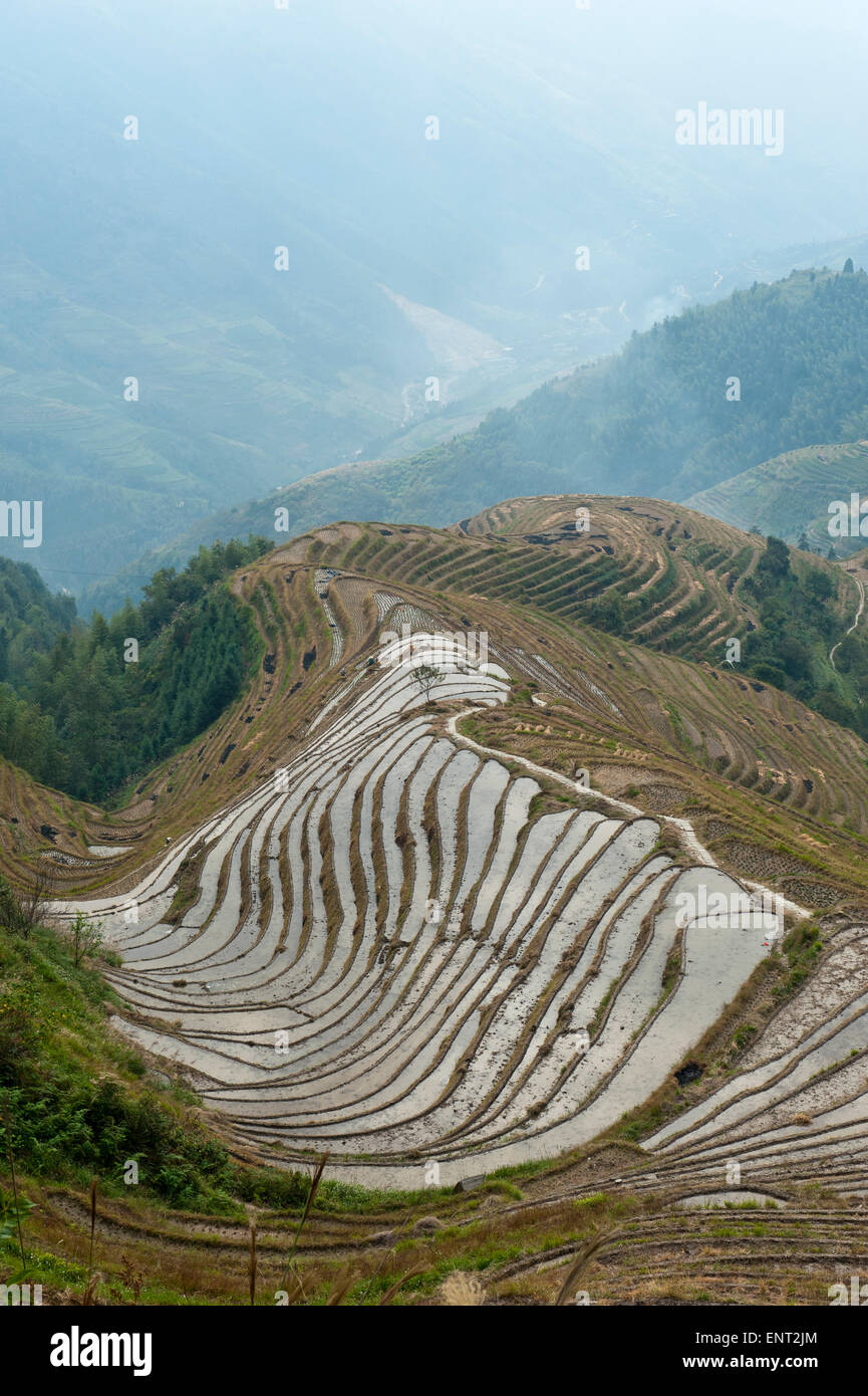 Longsheng rice terraces hi-res stock photography and images - Alamy