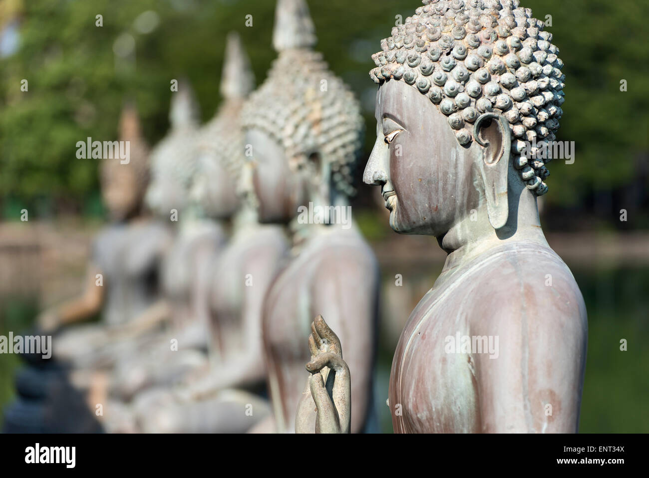 Buddha Statues at Seema Malakaya Meditation Centre, Colombo, Sri Lanka Stock Photo - Alamy