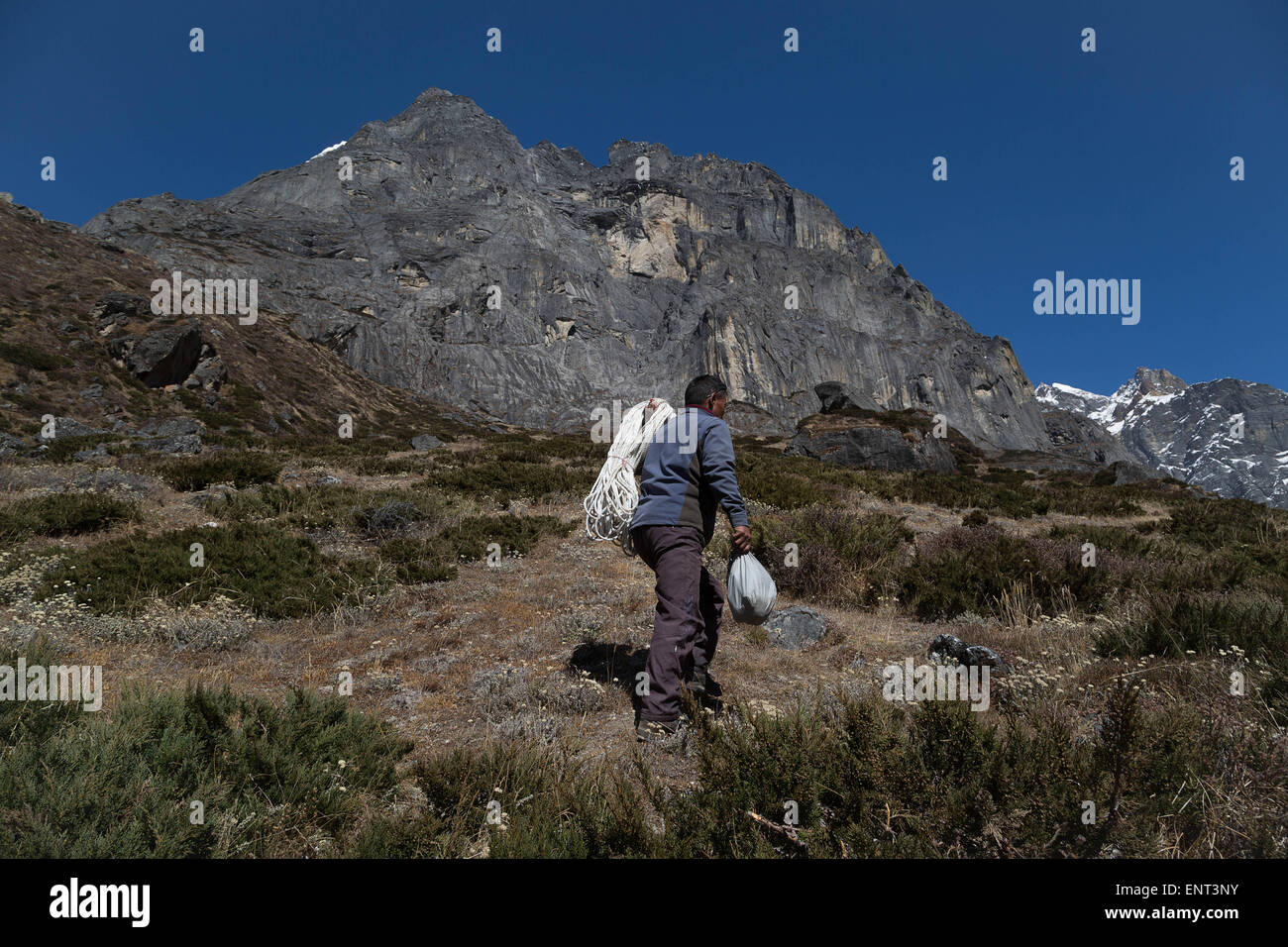 Porter Carrying Rope, Mera Peak Area, Nepal Stock Photo - Alamy