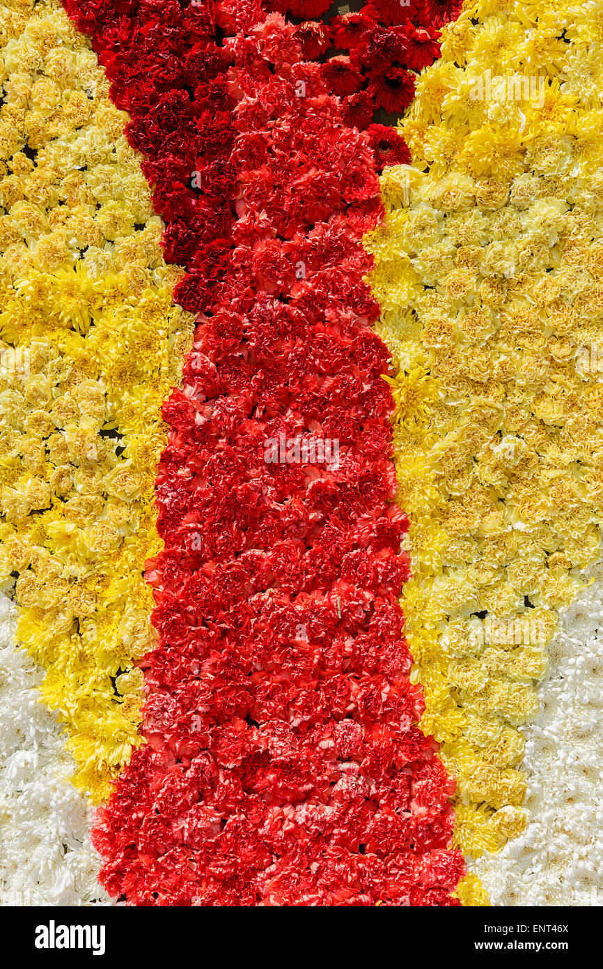 Installation of carnations on a flower festival in Baku Stock Photo - Alamy