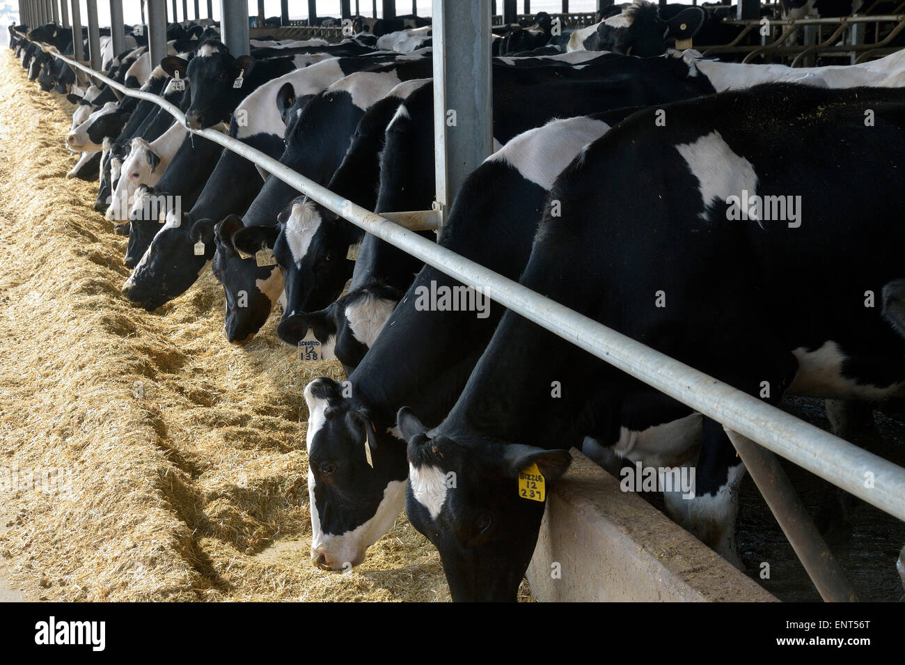 Production cycle hi-res stock photography and images - Alamy