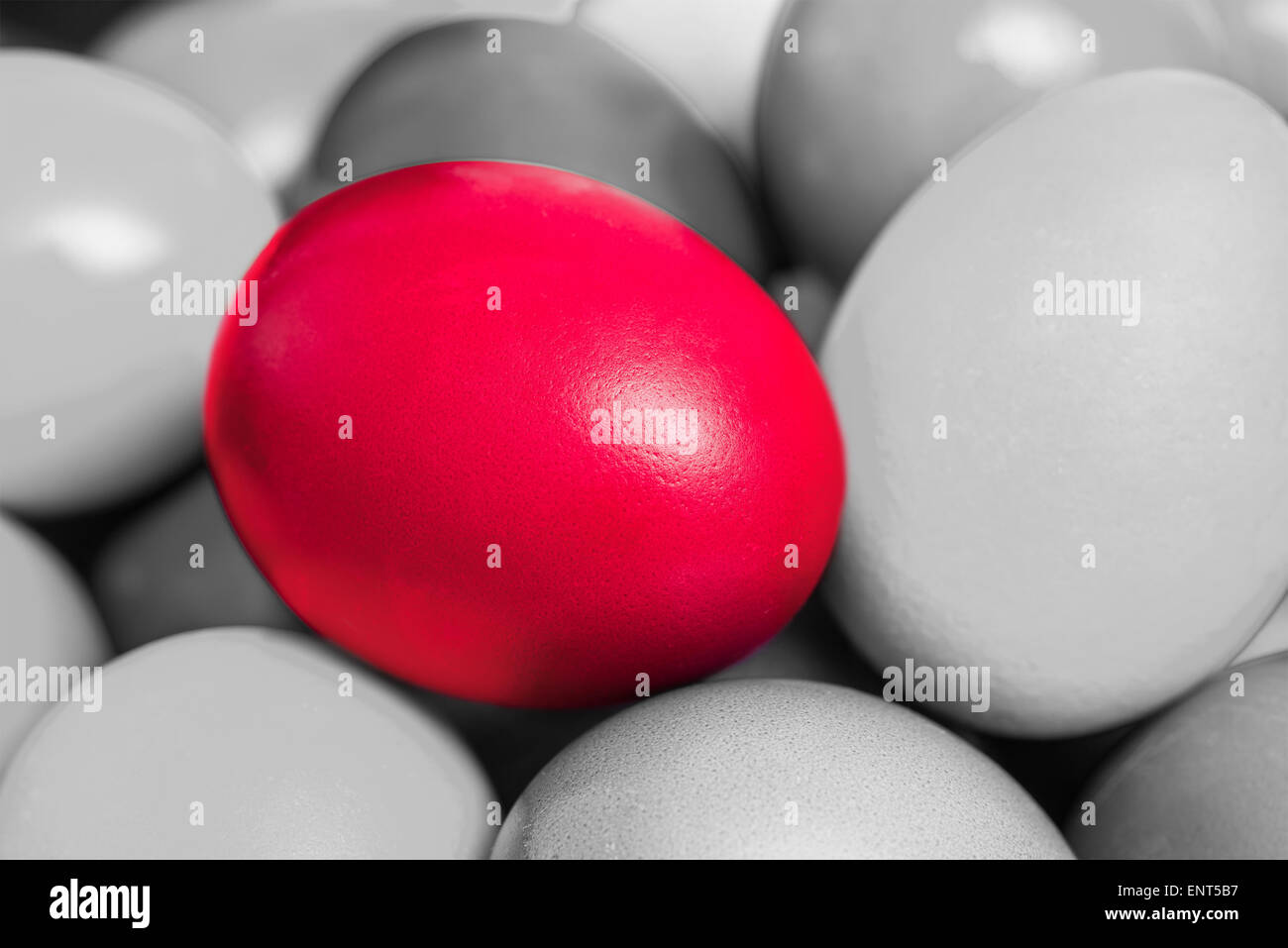 Red Easter Egg Stand Out From The Crowd Concept Stock Photo - Alamy