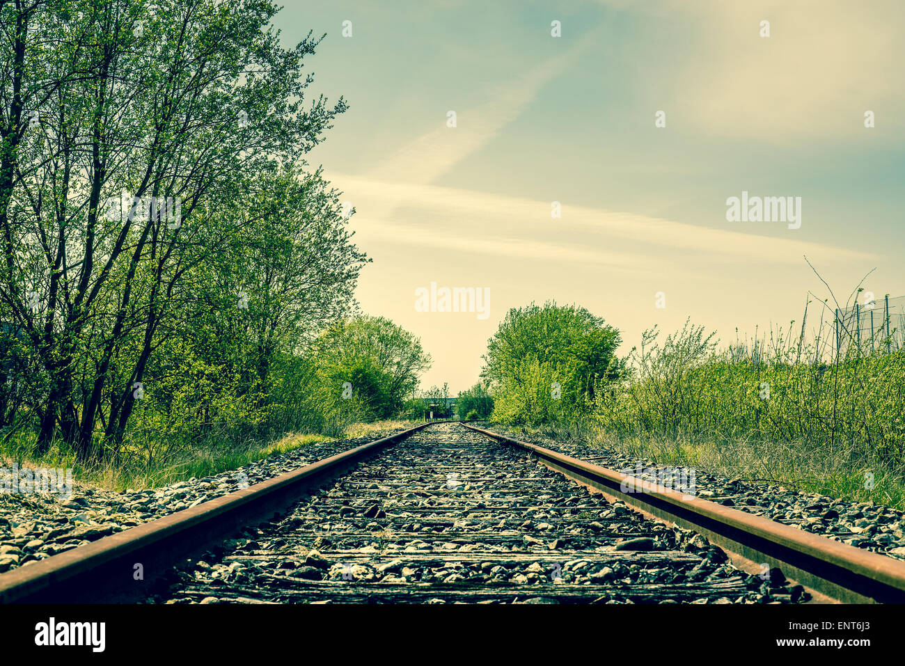 Railroad tracks scenery in beautiful nature Stock Photo - Alamy