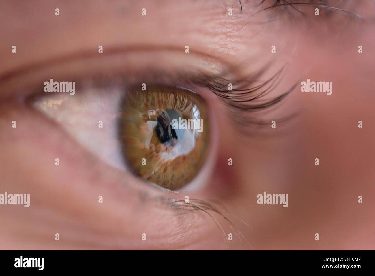 Mother and daughter in a father's eye Stock Photo - Alamy