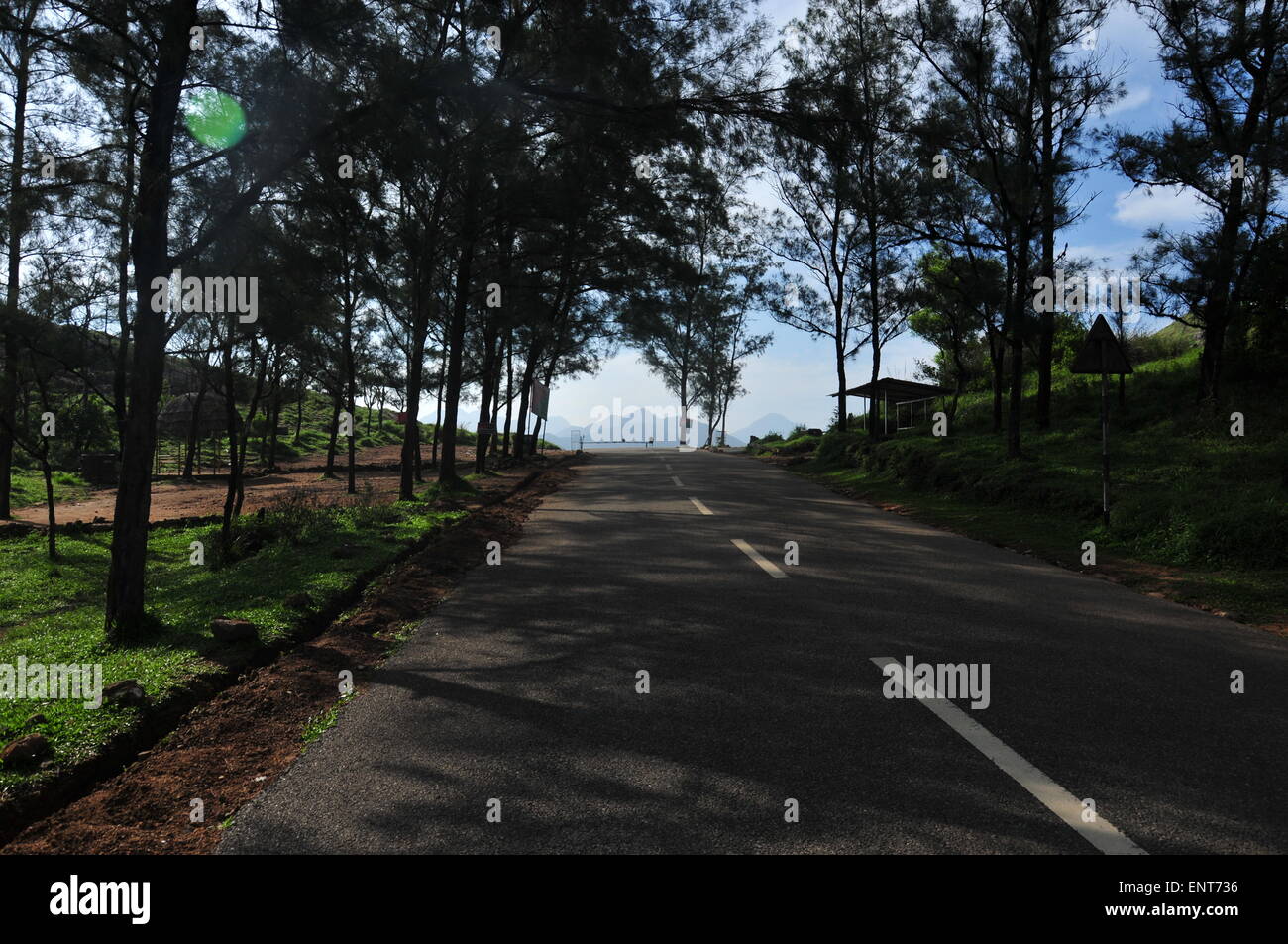 Road & wind trees Stock Photo - Alamy