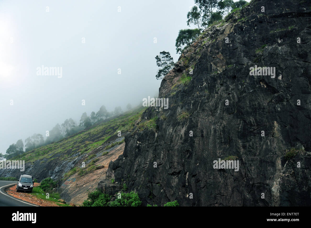 Greenery road side view hi-res stock photography and images - Alamy