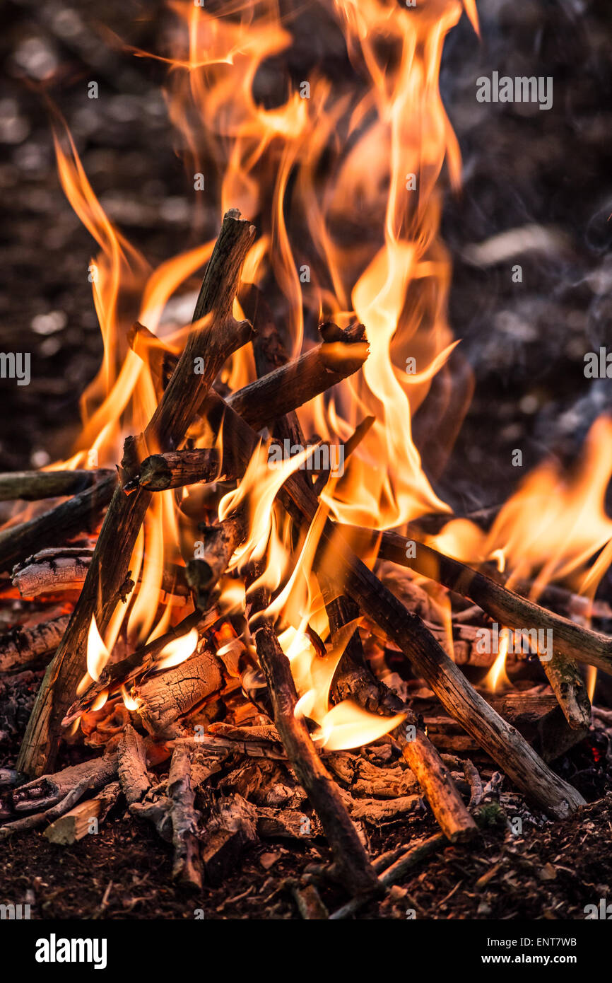 Bonfire in spring forest, close-up Stock Photo - Alamy