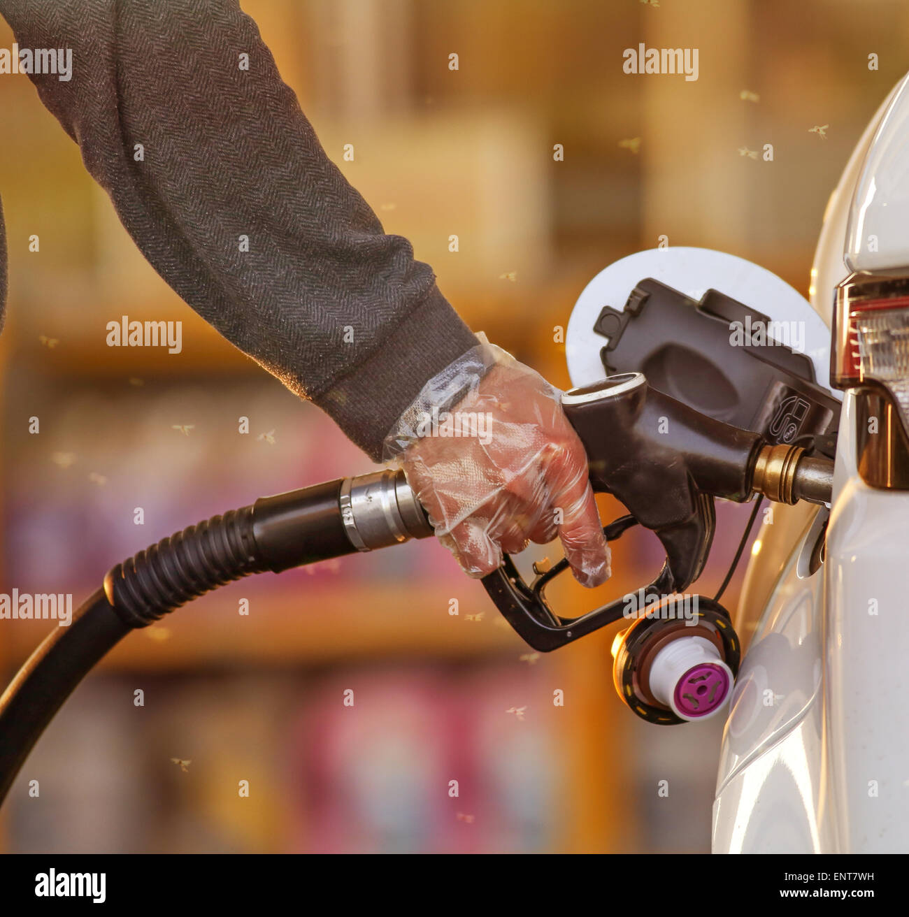 Hand refilling the car with fuel, close-up Stock Photo - Alamy